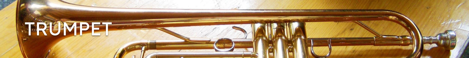 Meet the BAND – The Akron Big Band